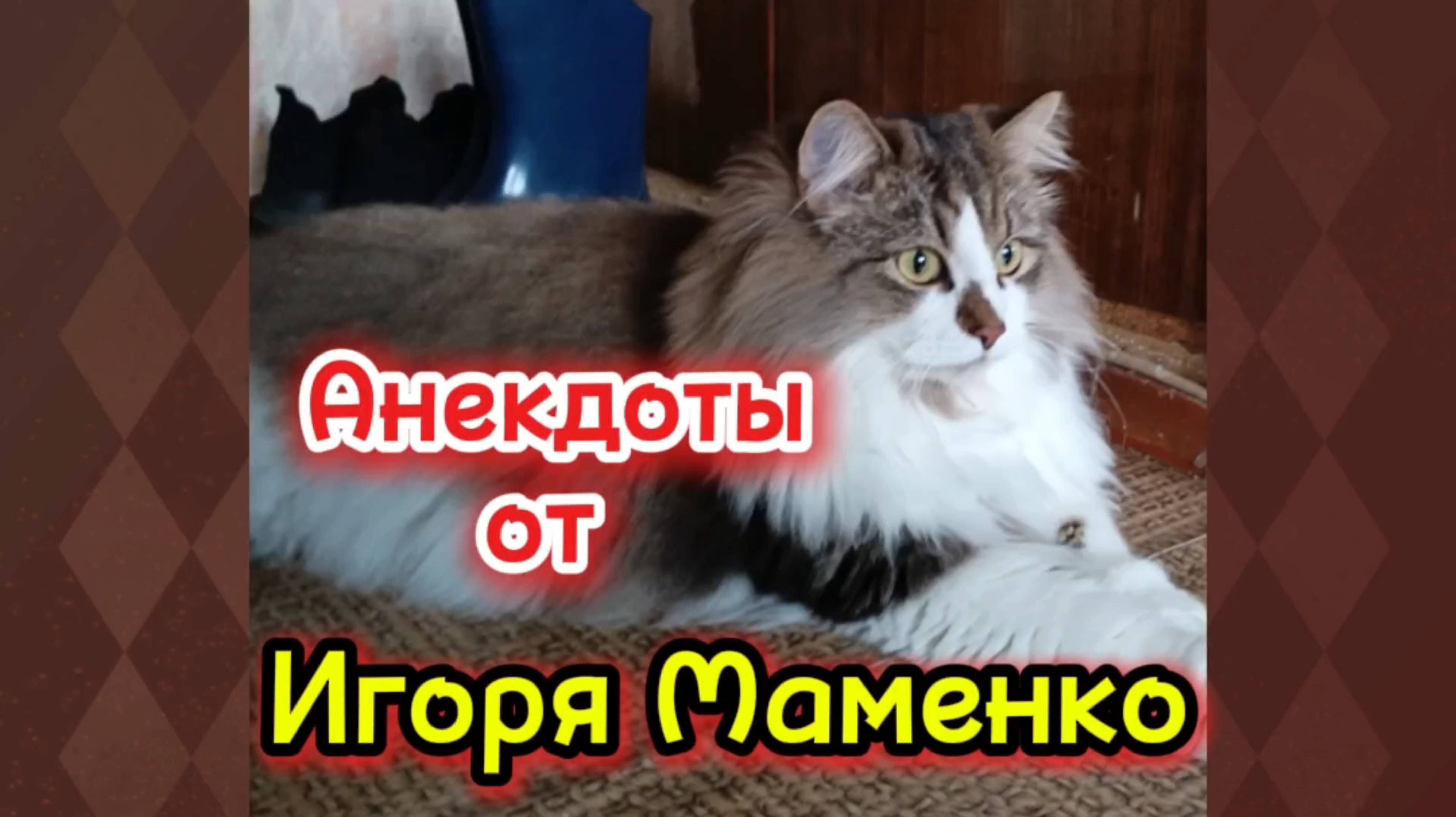 Анекдоты от Игоря Маменко.