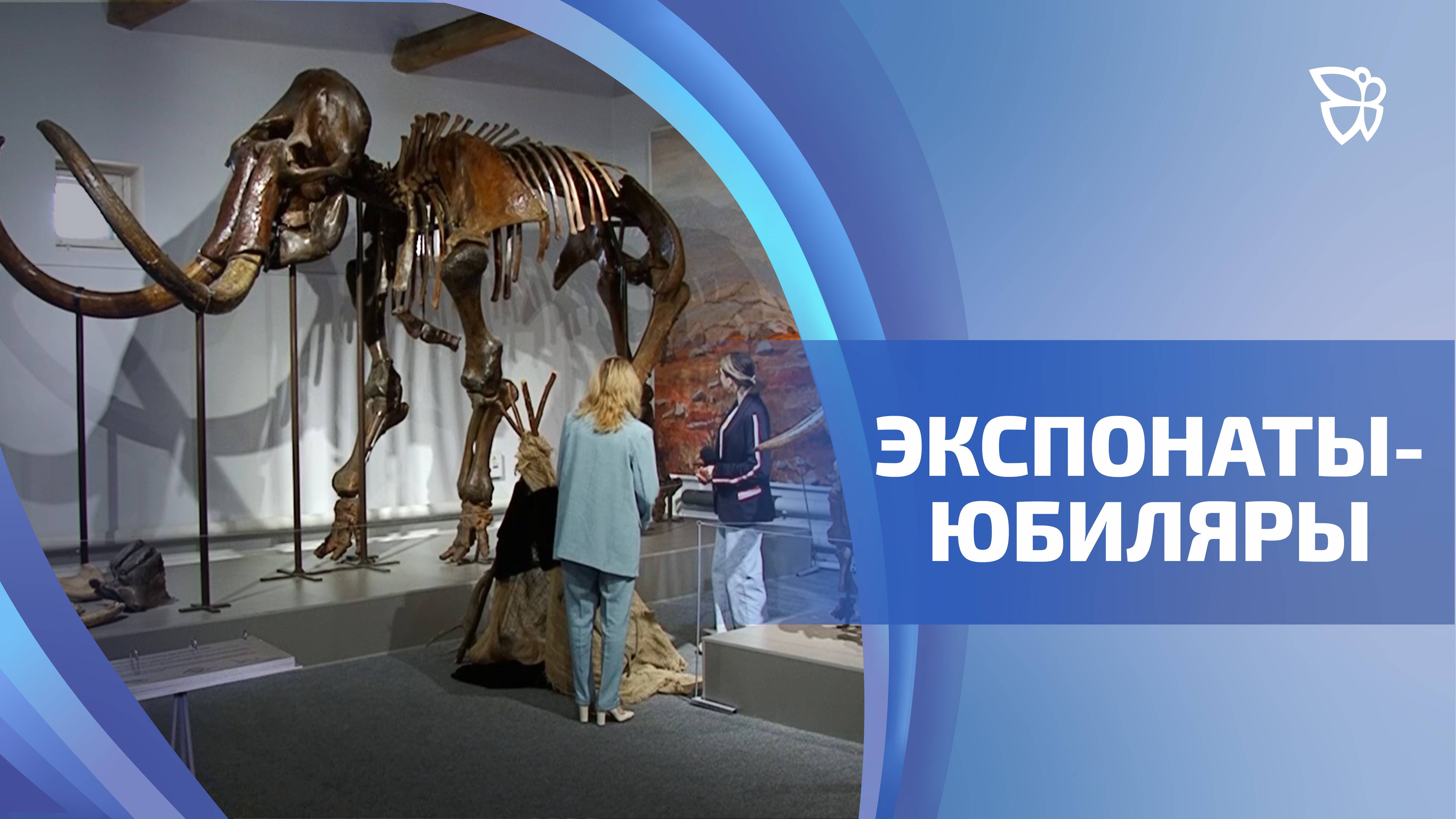 Удивительный юбилей удивительных экспонатов