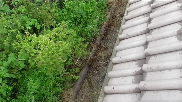 Средство борьбы с сорняками ТОРНАДО