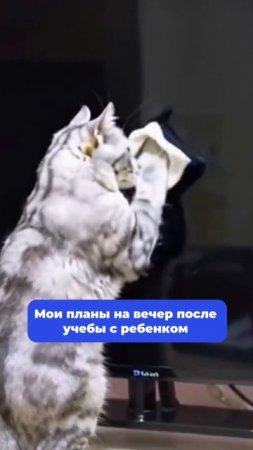 Когда родители хотят отдохнуть от учебы больше, чем дети… 😂 В SHKOLA подарим вам свободное время.