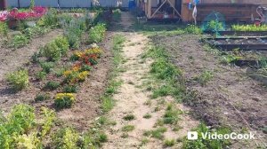 Наши 8,4 сотки.🏡С прополкой заканчиваю💪Еще немного цветной капусты и помидор домой.
