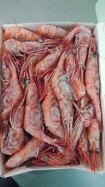 Креветка Магаданская сырая AMA EBI 2L /3L