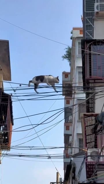 Как Джеймс Бонд