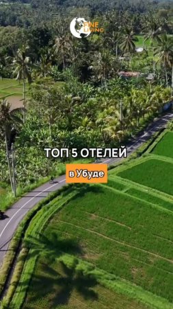 💫ТОП 5 лучших отелей в Убуде