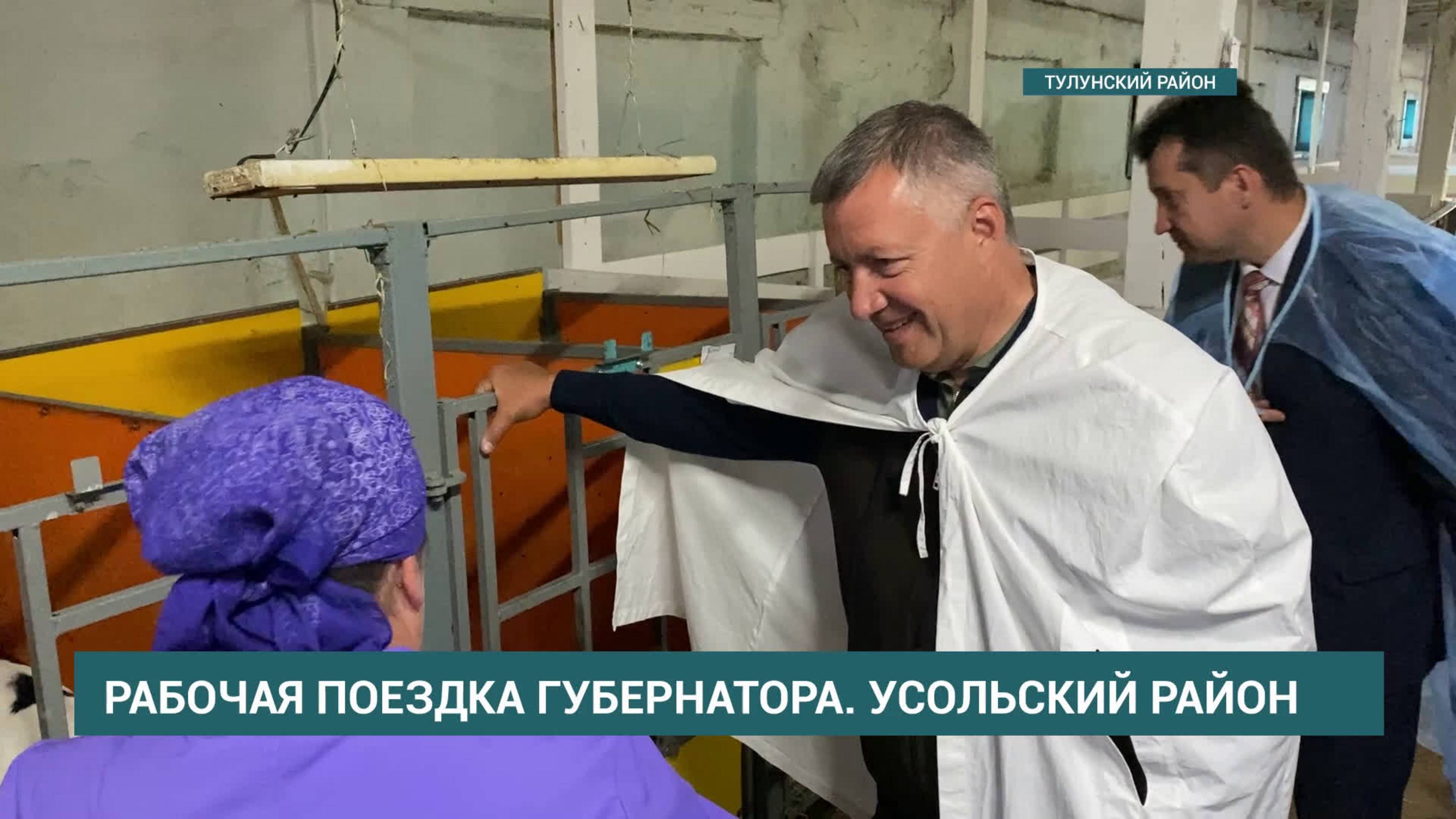 Новый цех по переработке молочной продукции запустят в Усольском районе