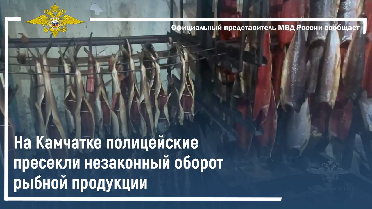На Камчатке полицейские пресекли незаконный оборот рыбной продукции