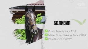 БОЛИВИЯ 1.59,8 (Эгадс Ларс – Брестэйкинг Тьюн) 26.03.2019 г.р.
Покрыта Faust Hanover.