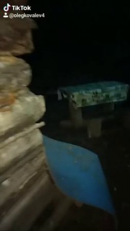 Грибабас оставил подарок в лачуге