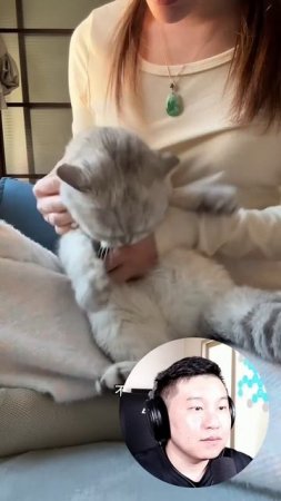 Мама Туань Цзы продолжает стричь когти своим котам