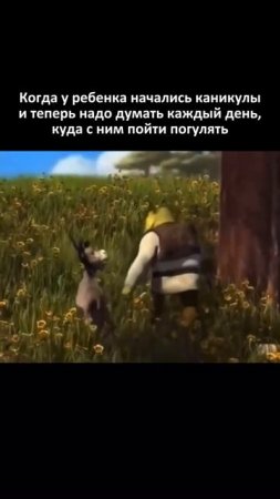 Минутка юмора 🤩