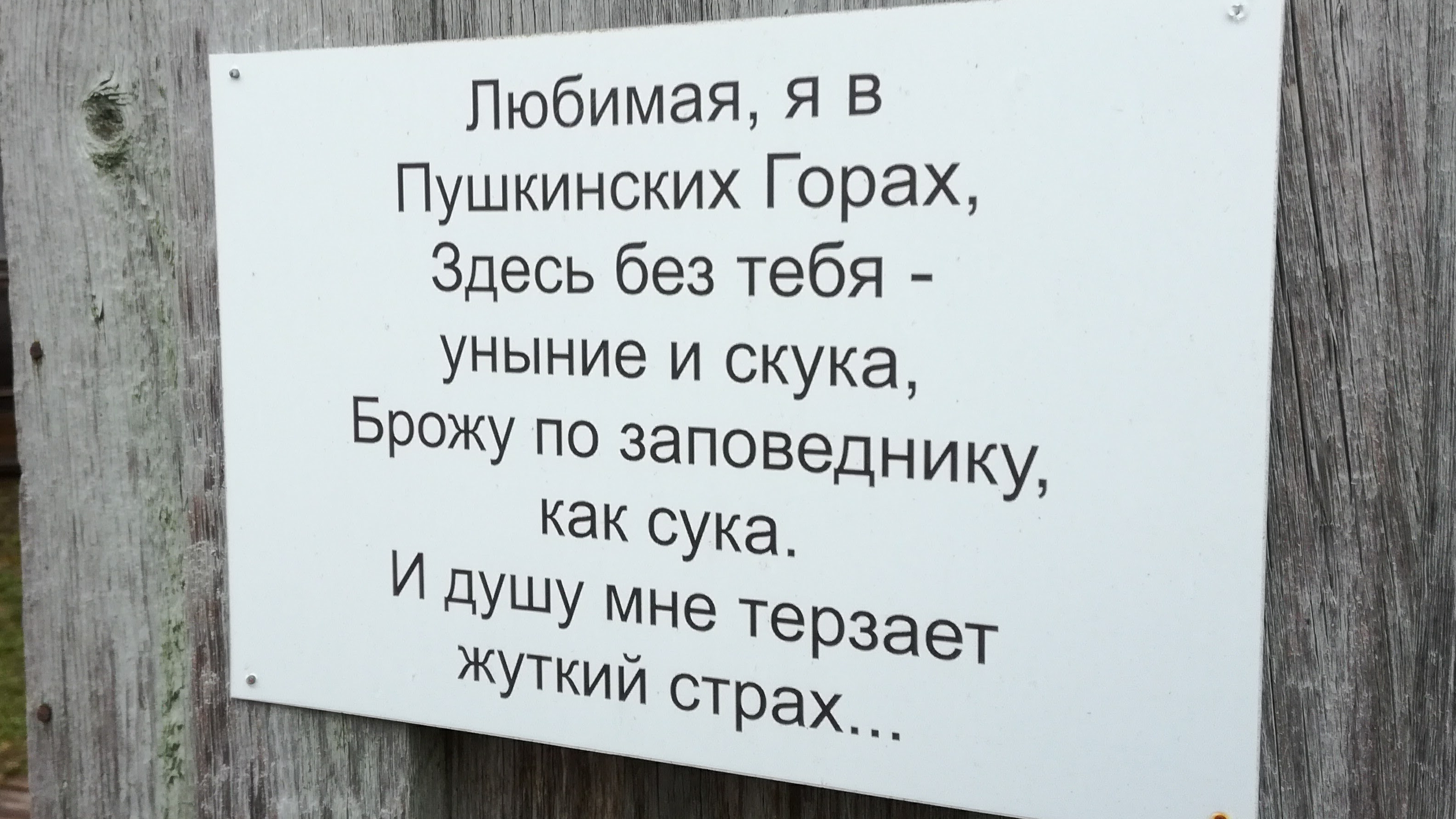 По местам Сергея Довлатова