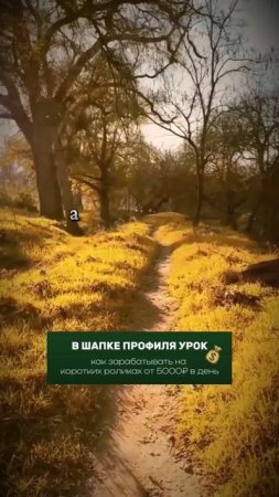 Вот что нужно, чтобы стать непобедимым.