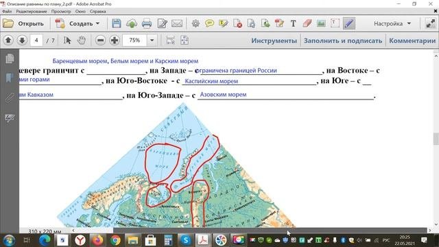Восточно Европейская равнина. Описание по плану.