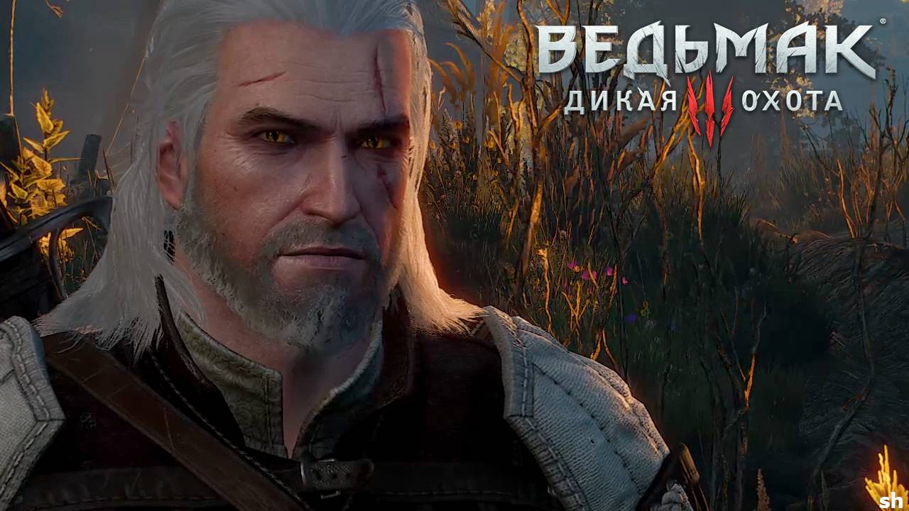 Ведьмак 3 Дикая Охота►Прохождение без комментариев.#21