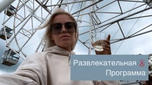 Лабубу для собаки 🧸 Развлекаемся в плохую погоду 🌧️☔ городской парк Зеленоградска