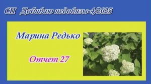 СП "Добиваю недовязы 4/2025" / Отчет 27