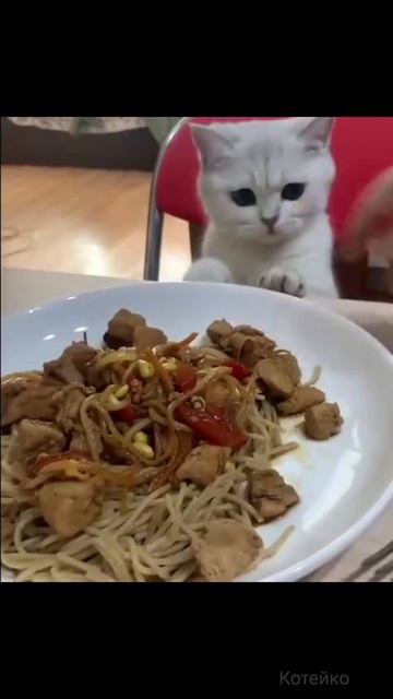 А ты лапы помыла?