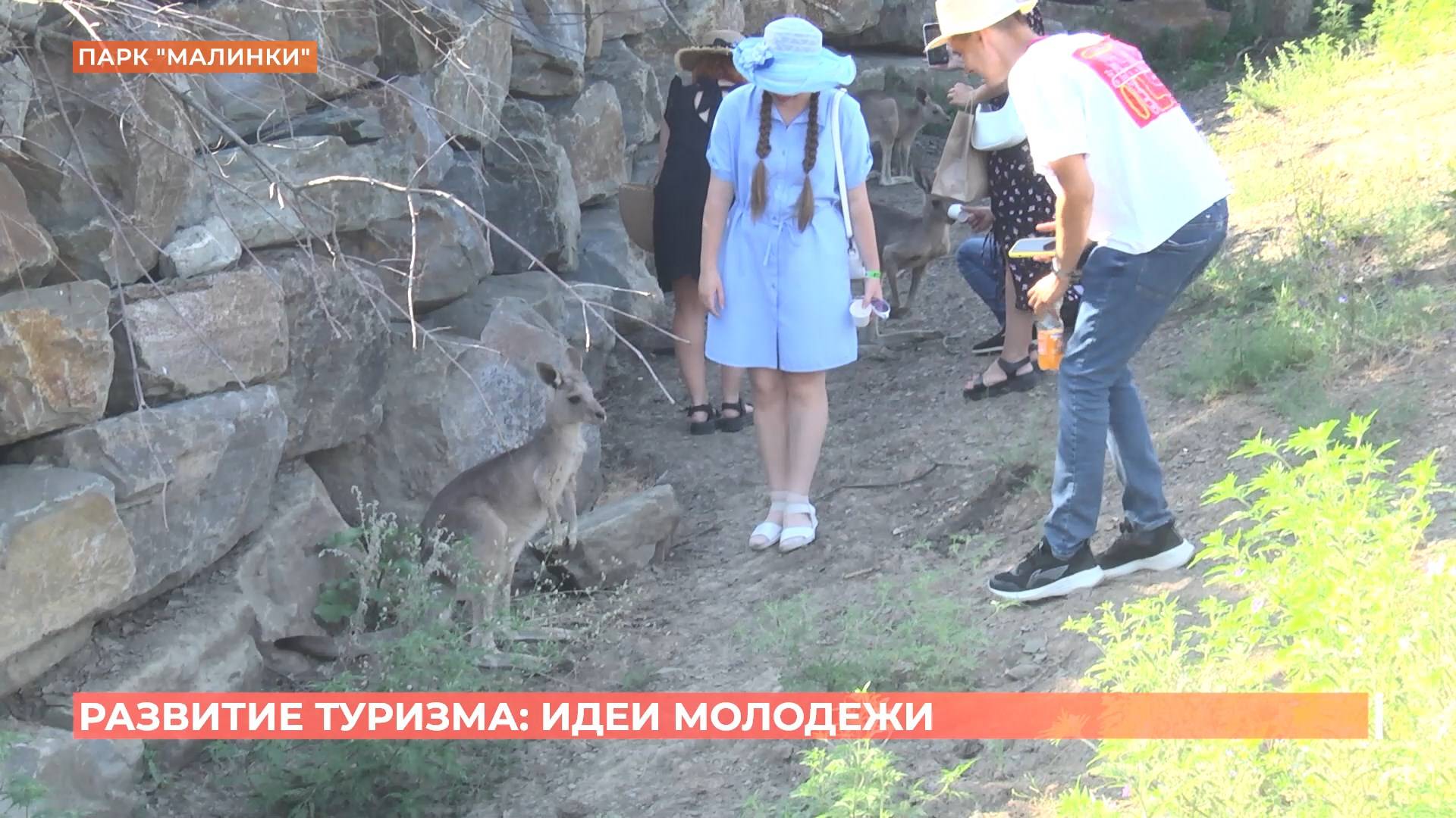Развитие туризма на Дону: идеи молодежных парламентов