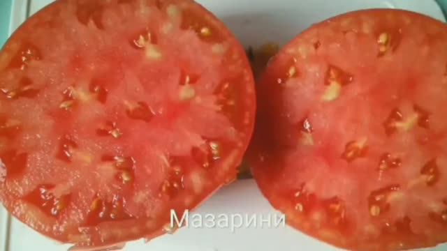 Наш любимый томат Мазарини 💝
