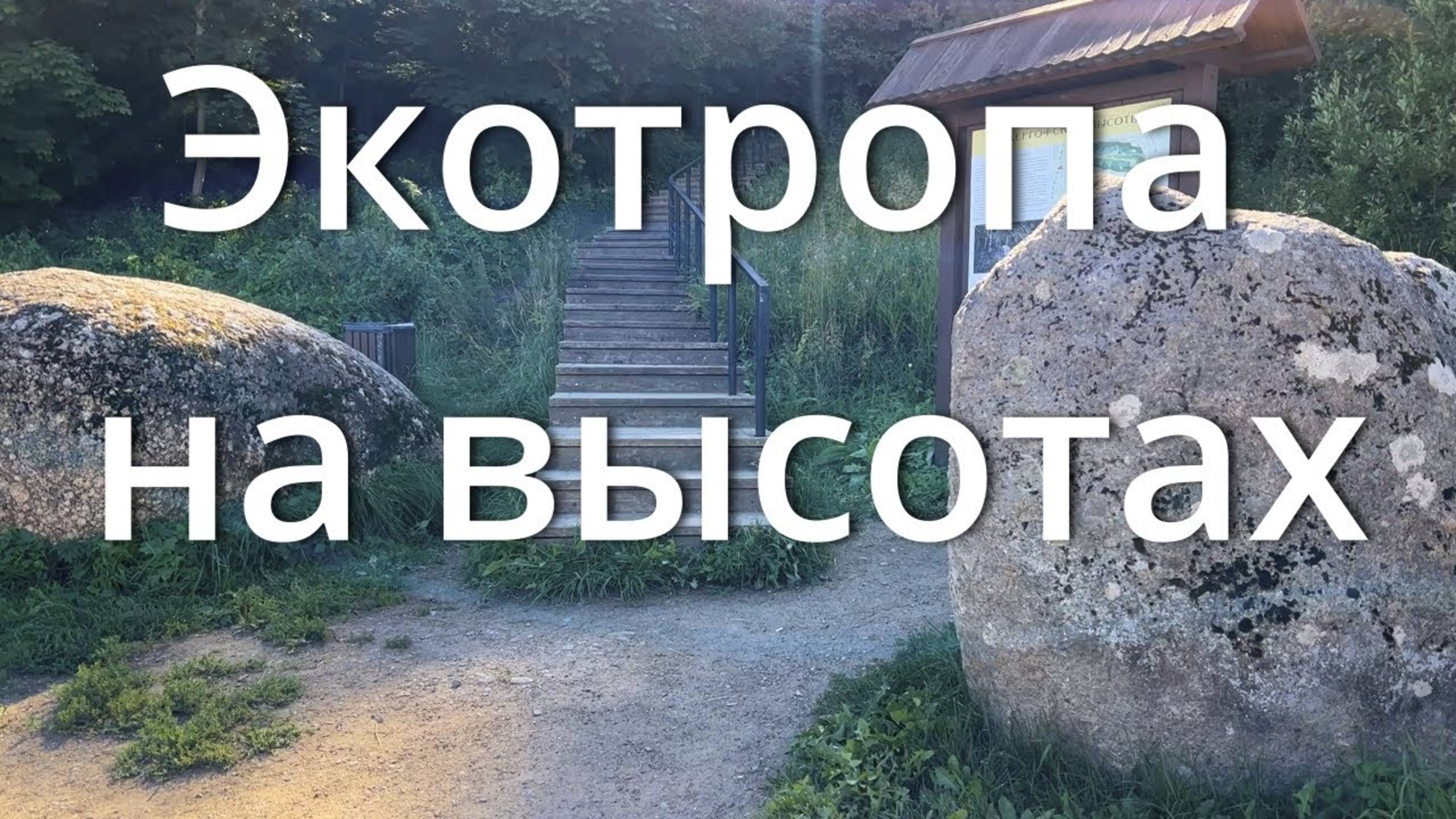 Экотропа на самой высокой точке Питера