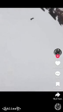 1000026576.mp4
