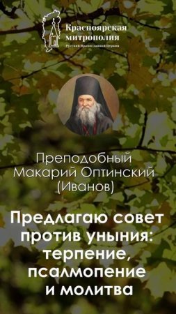 Цитаты, которые стоит услышать