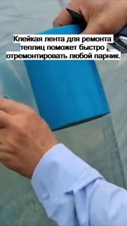Артикул Яндекс Маркет YM10109273 вводи в поиске