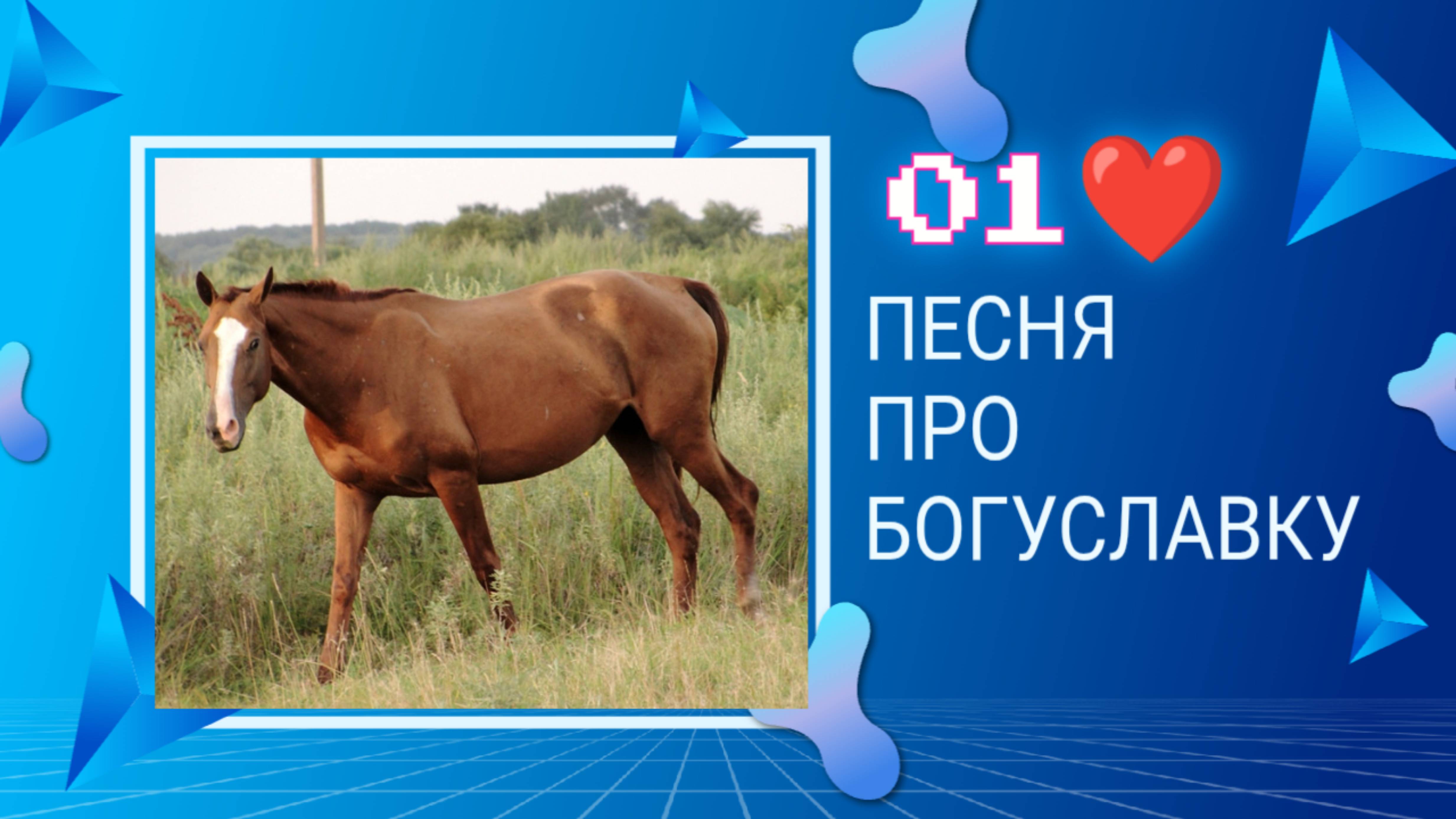 Богуславский табун / Первая песня про Богуславскую конеферму