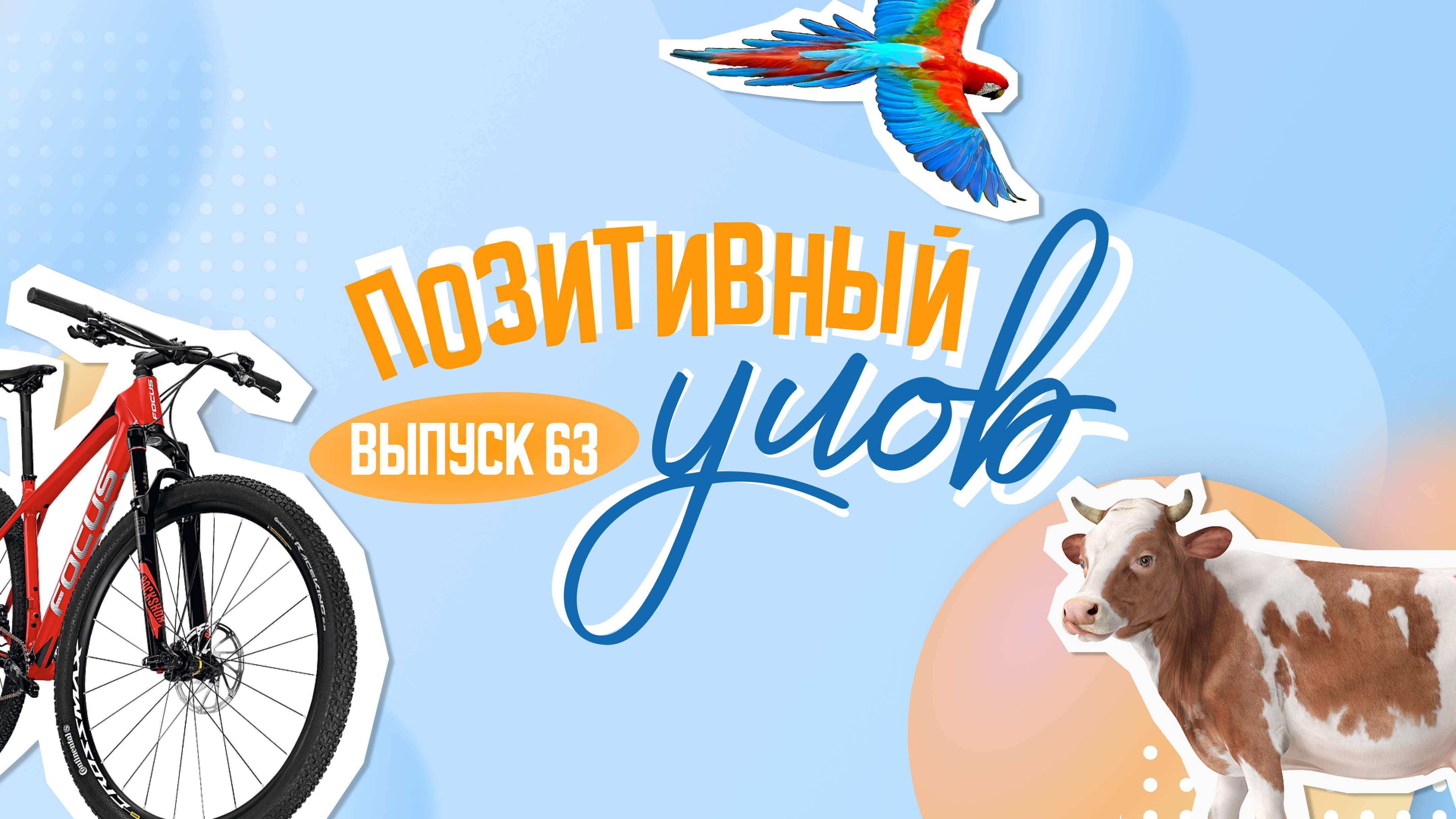 Институт шашлыка и корова в самолете. "Позитивный улов"