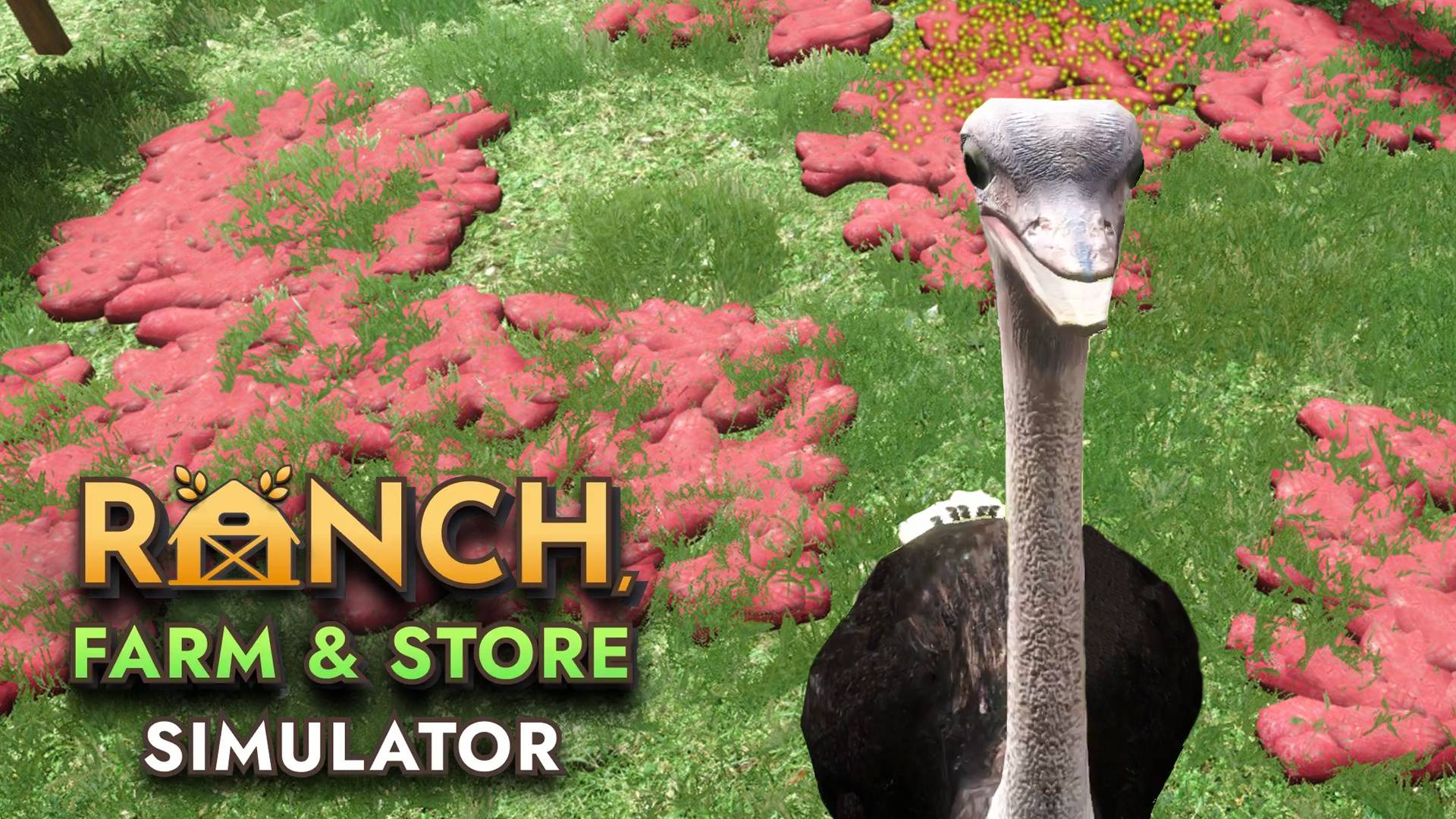 Страусятник - Ranch Farm and Store Simulator Прохождение #11