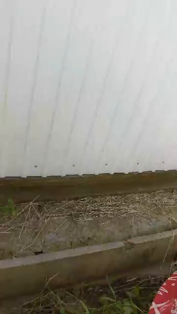 ....бюб