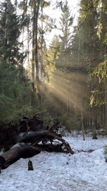 Экотропа на пляже
