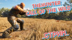 TheHunter: Call of the Wild СТРИМ ОХОТА НА БИЗОНА