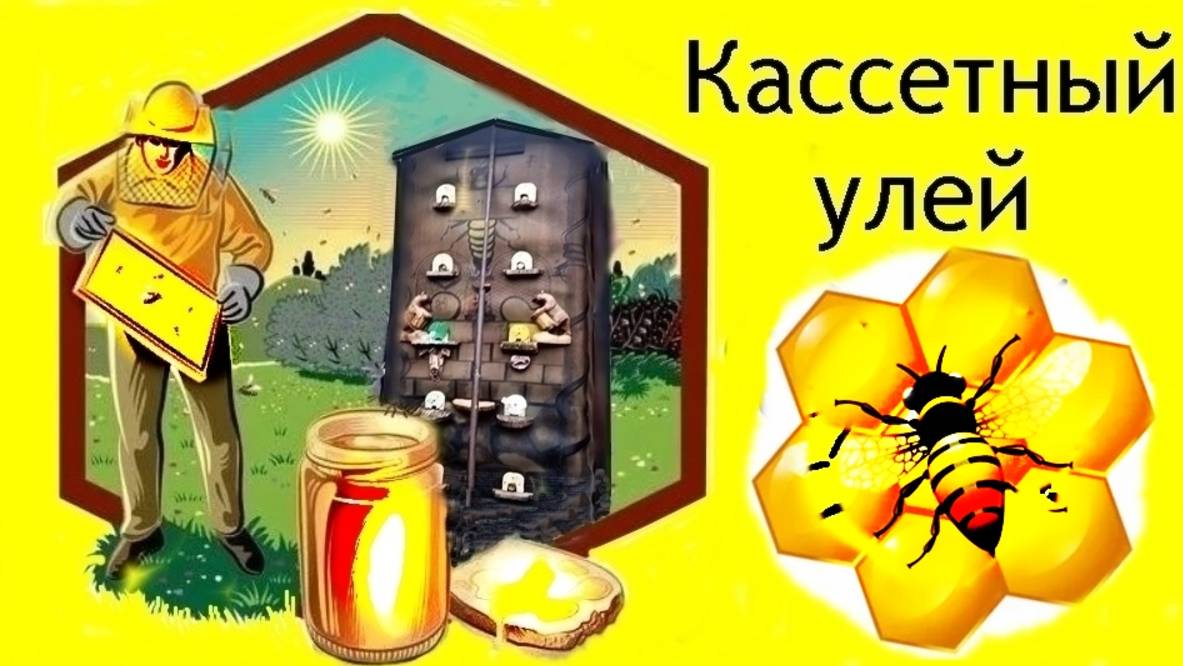 Пчелы Кассетный улей .. Осмотр отводков🐝