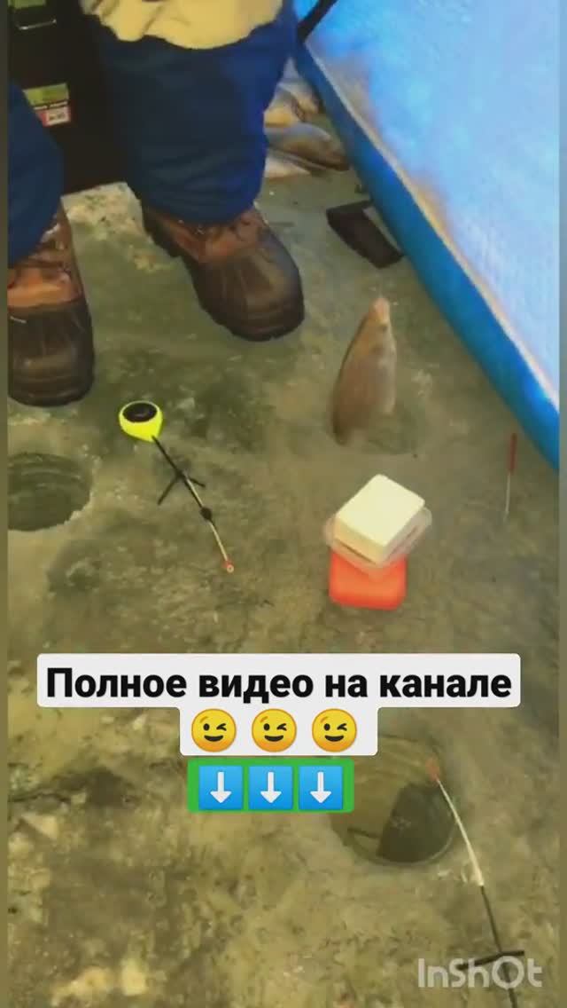 Бешеный клёв карася    Зимняя рыбалка со льда #shorts