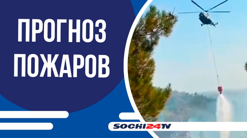 В зоне риска: Краснодарский край попал в карту прогнозов пожаров в августе