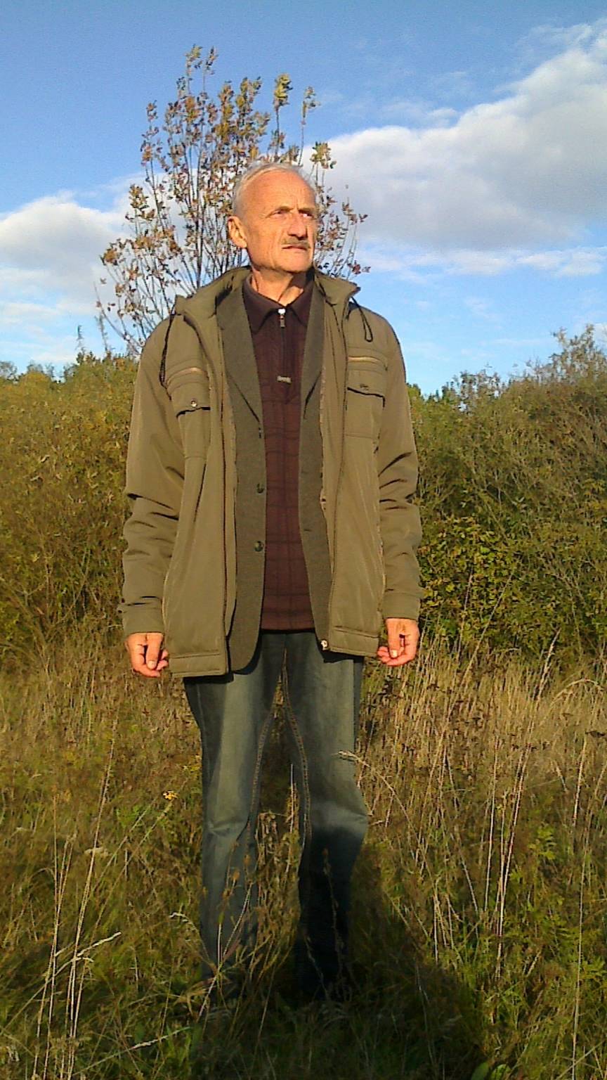 Д. С. Гавриленко ПОД ВЯЗОМ