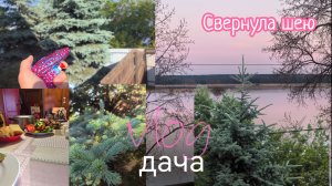 влог с дачи свернула шею