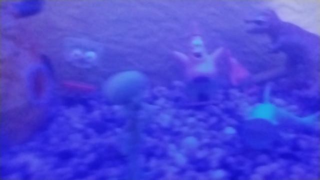 У МЕНЯ НОВЫЙ ПИТОМЕЦ РЫБКИ 🐠 И ЕСТЬ КОТОРЫЕ РЫБКИ СВЕТИТСЯ В НЕОНОВОМ СВЕТЕ