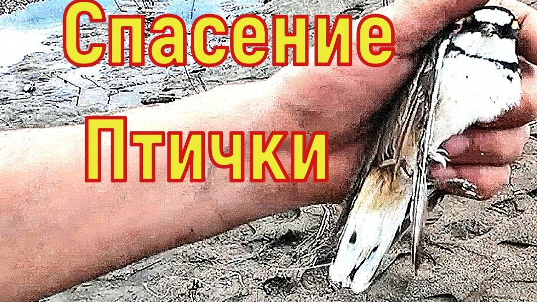 Сплав по реке Ирень,Сылва и Чусовая до Перми 300км часть 6