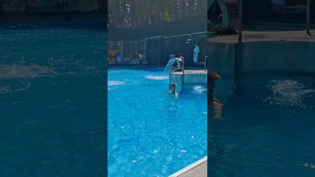 Парк-Отель Хвоя.  Бердск.  Новосибирская область.