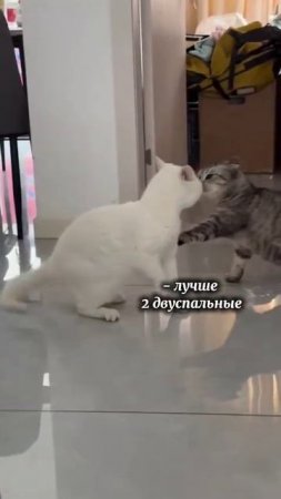Знакомо? 🙈