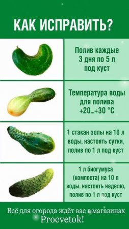 Чего не хватает огурцам? Определяем по внешнему виду! Не забудьте сохранить