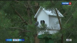 Вести-Томск, выпуск от 30.07.2025 09:30