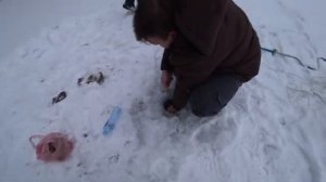 Виталик Зелёный Зимняя рыбалка на озере