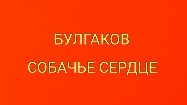 Булгаков, Собачье сердце, краткое содержание