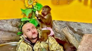 Посмотрите КАК МИЛО! Степашка прибежал к Денису и ест на его голове хлебушек, запивая пюрешкой!