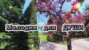Мелодия для души, прекрасное фортепиано
