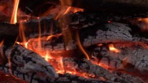 Одиночное Выживание в диком зимнем лесу с костром и решеткой для гриля