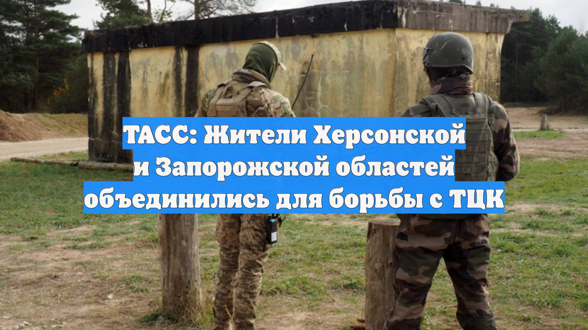 ТАСС: Жители Херсонской и Запорожской областей объединились для борьбы с ТЦК